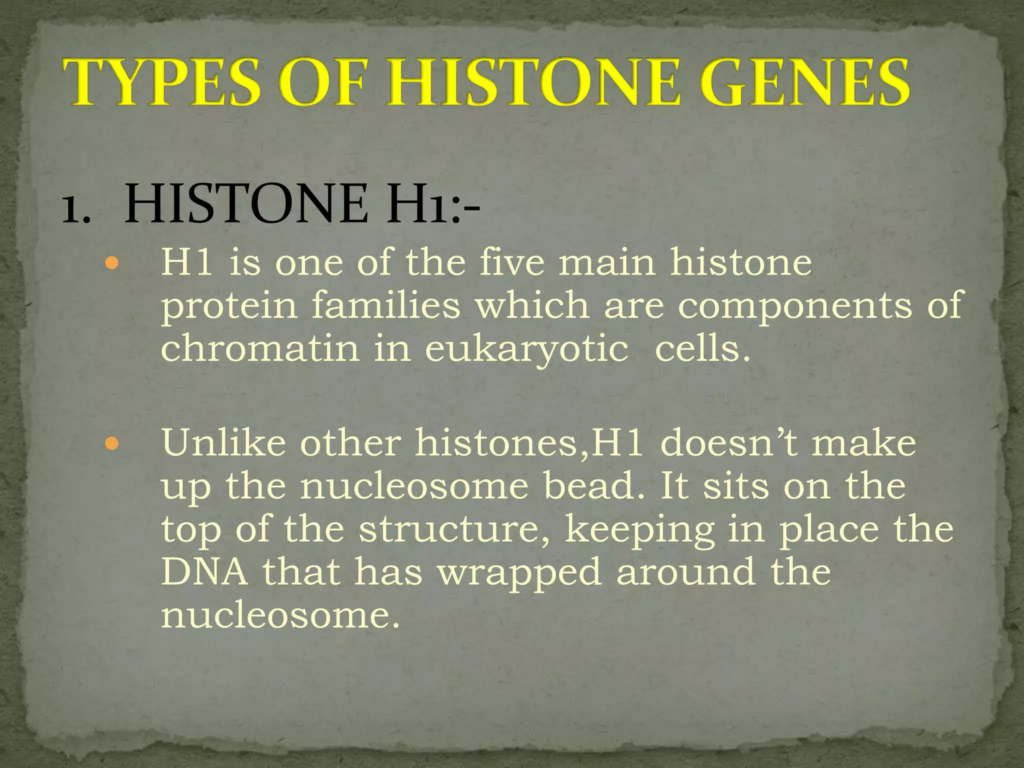 Molecular gene family | PPTX