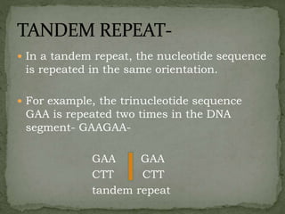 Molecular gene family | PPTX