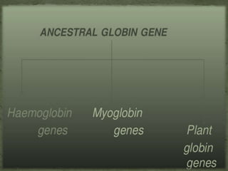 Molecular gene family | PPTX