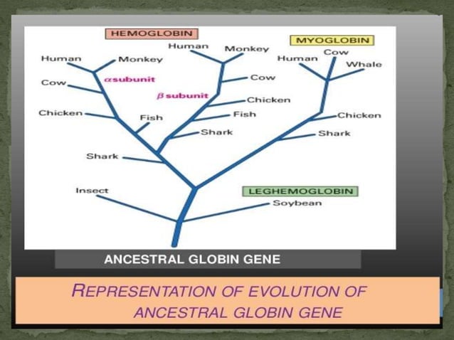 Molecular gene family | PPTX | Biological Sciences | Science