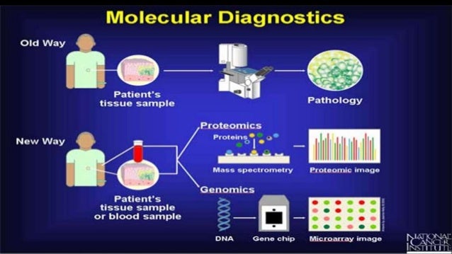 Molecular genetic diagnosis