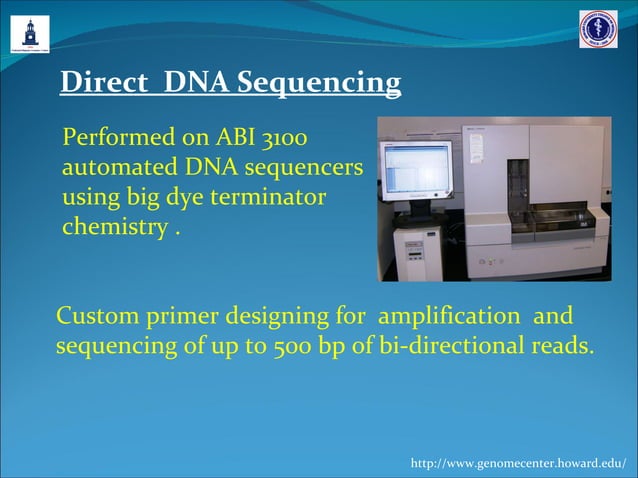 Molecular Genetics Unit | PPT | Genetics | Science