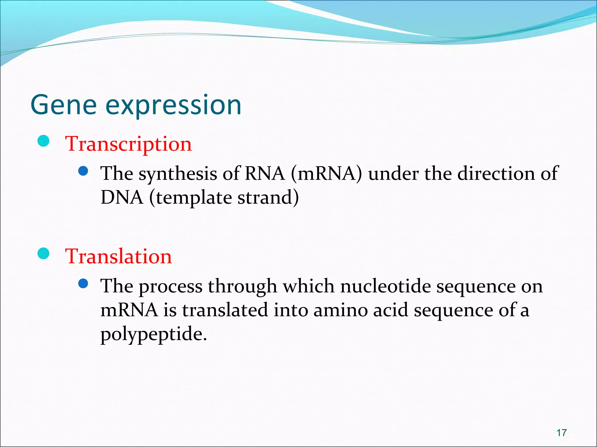 Molecular genetics | PPT