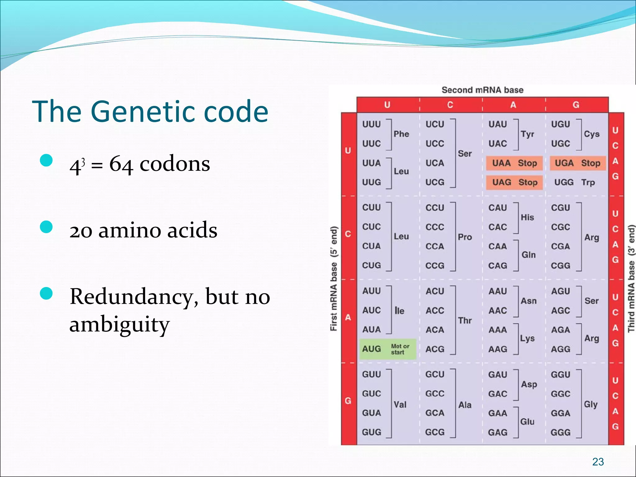 Molecular genetics | PPT