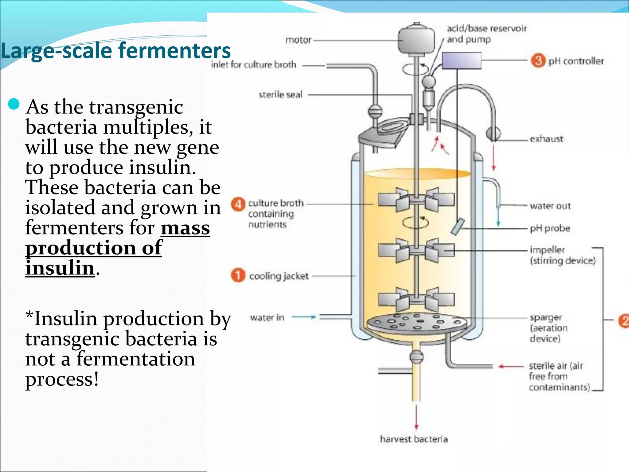 Molecular genetics | PPT
