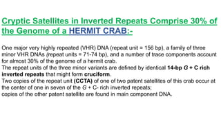 cryptic satellite DNA | PPTX