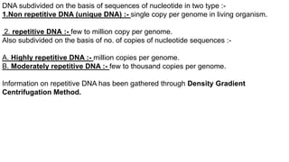 cryptic satellite DNA | PPTX