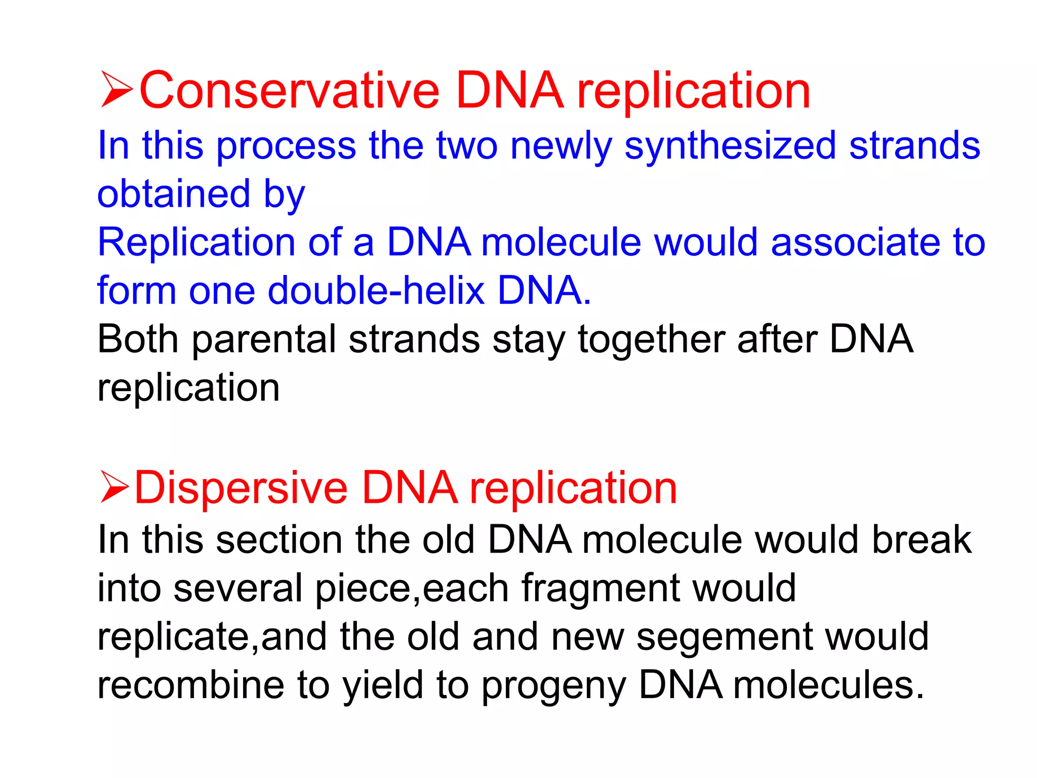 DNA replication | PPT | Free Download