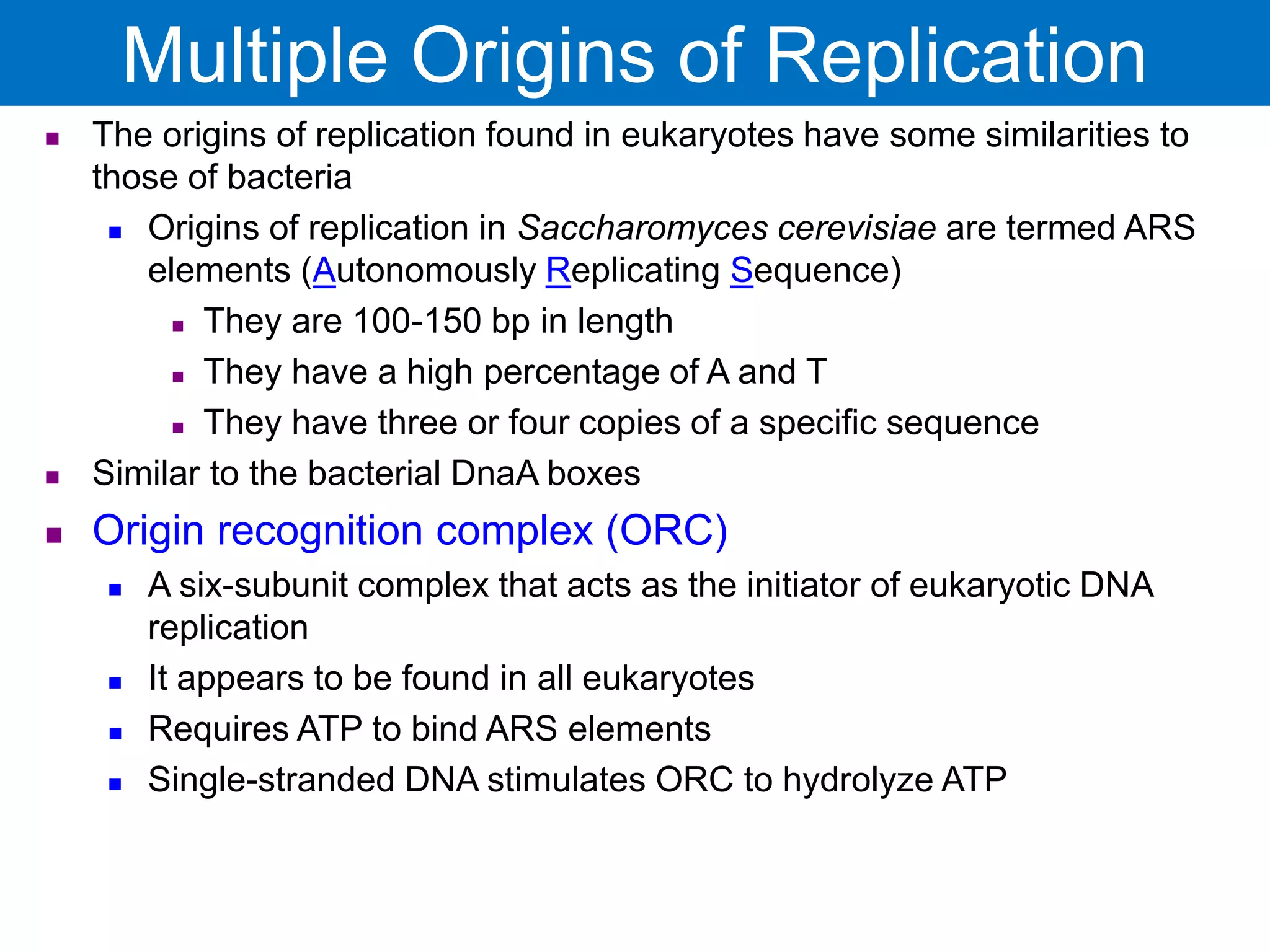 DNA replication | PPT