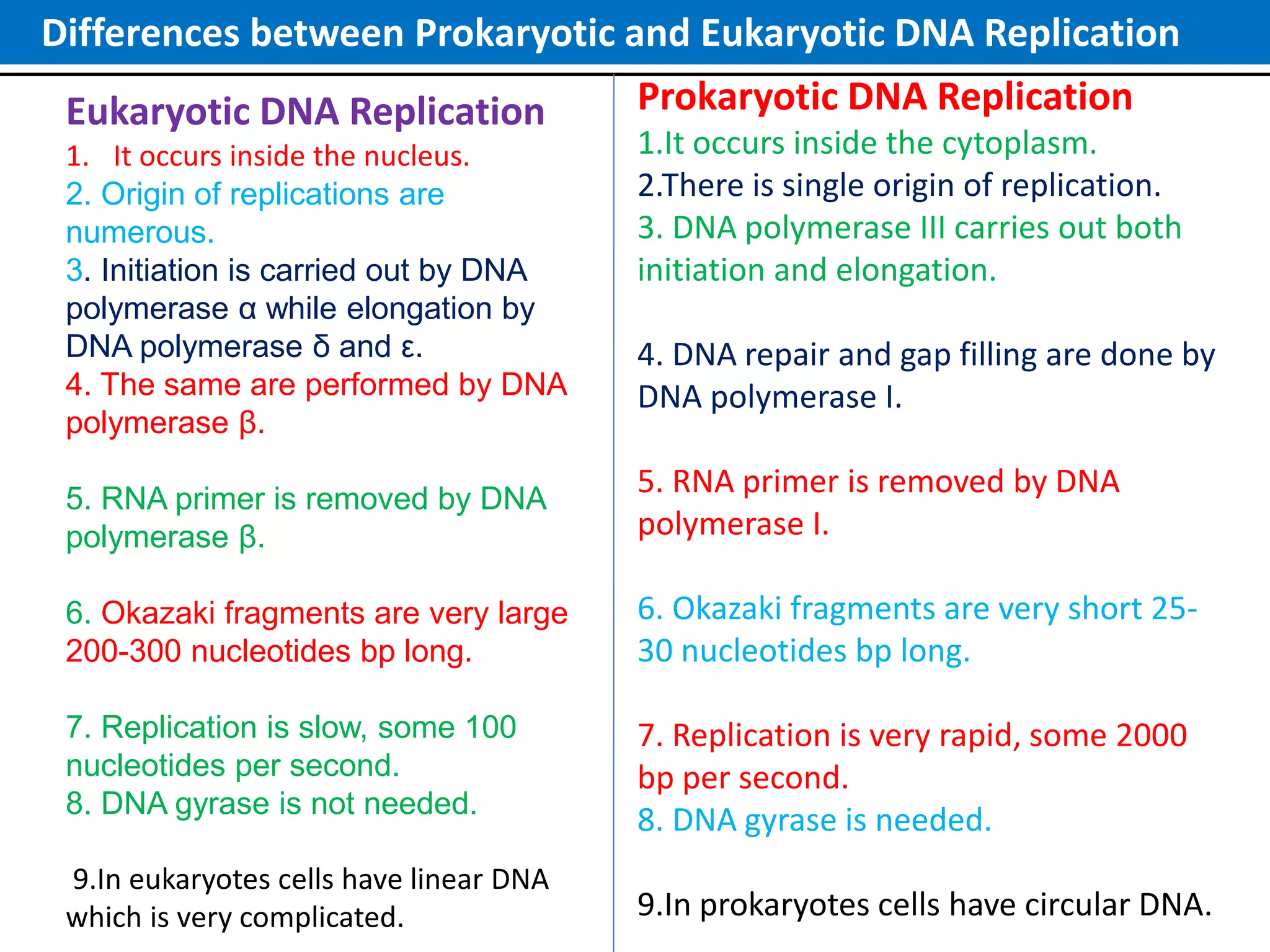 DNA replication | PPT