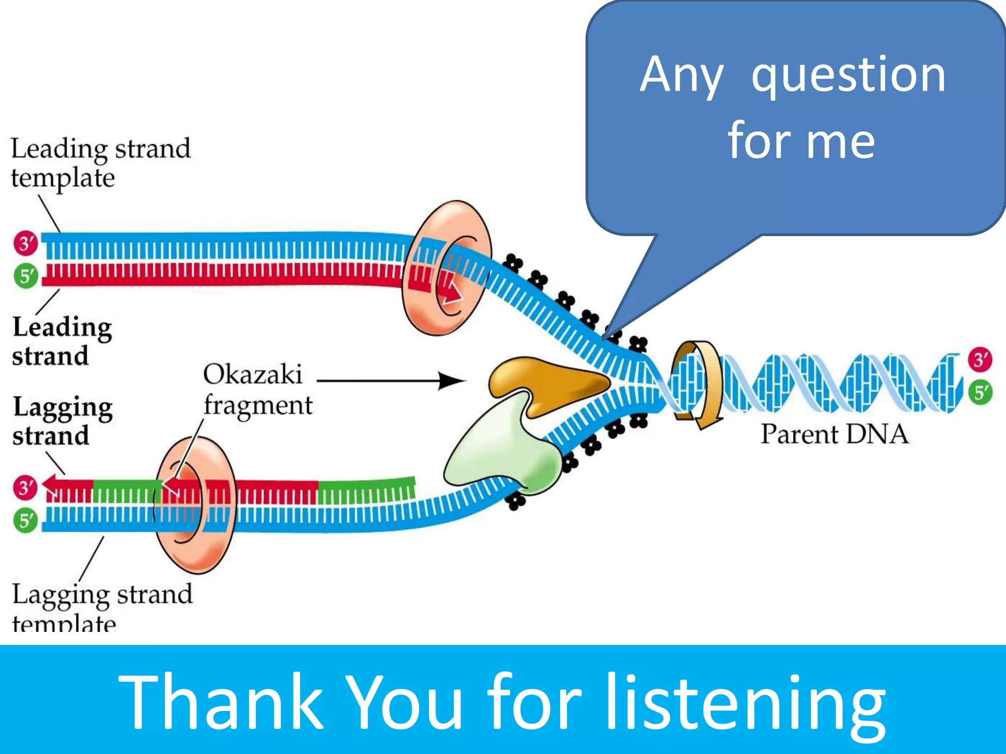 DNA replication | PPT | Free Download