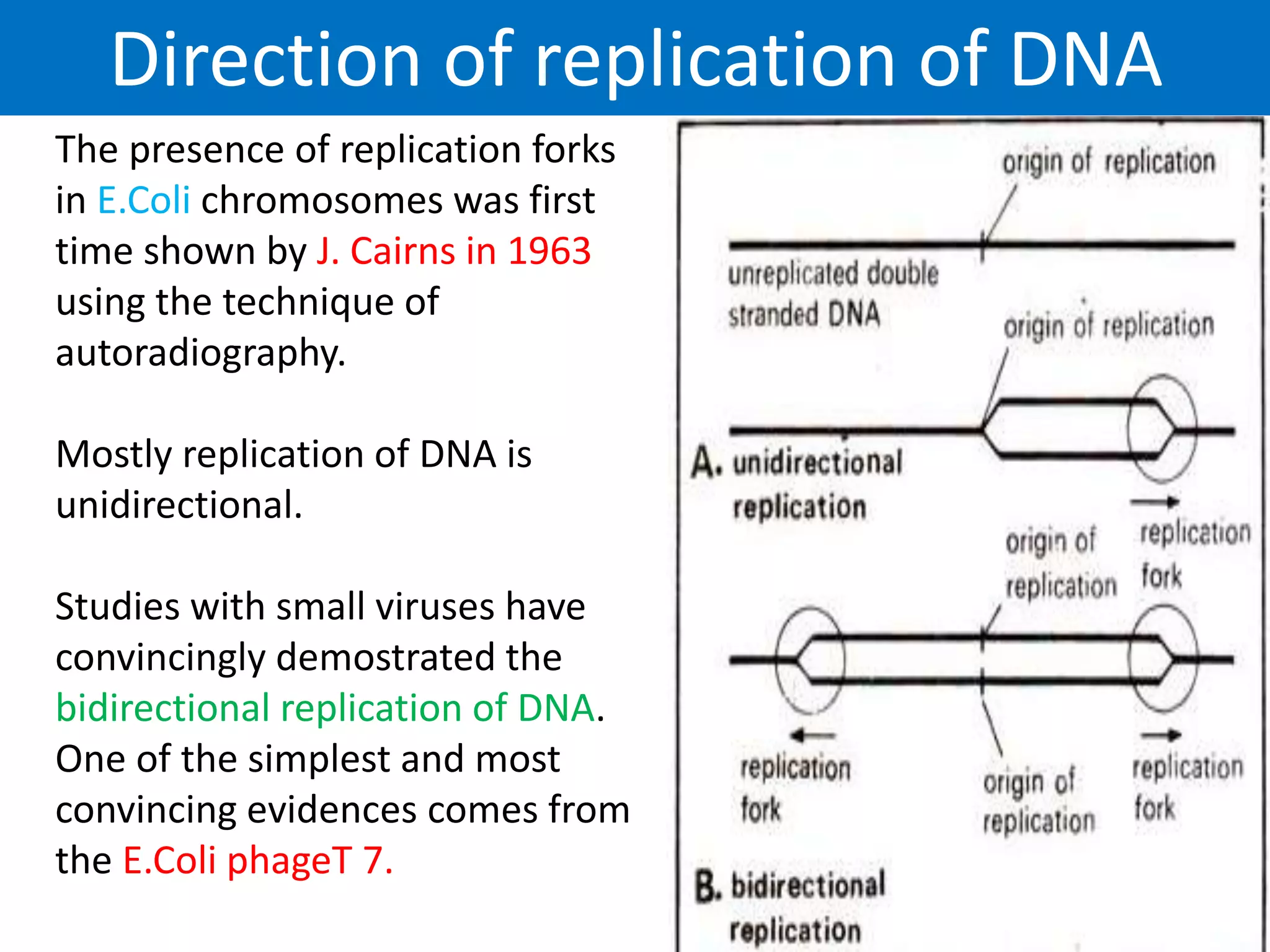 Genetics: DNA replication or Replication of Genetic Material | DNA ...