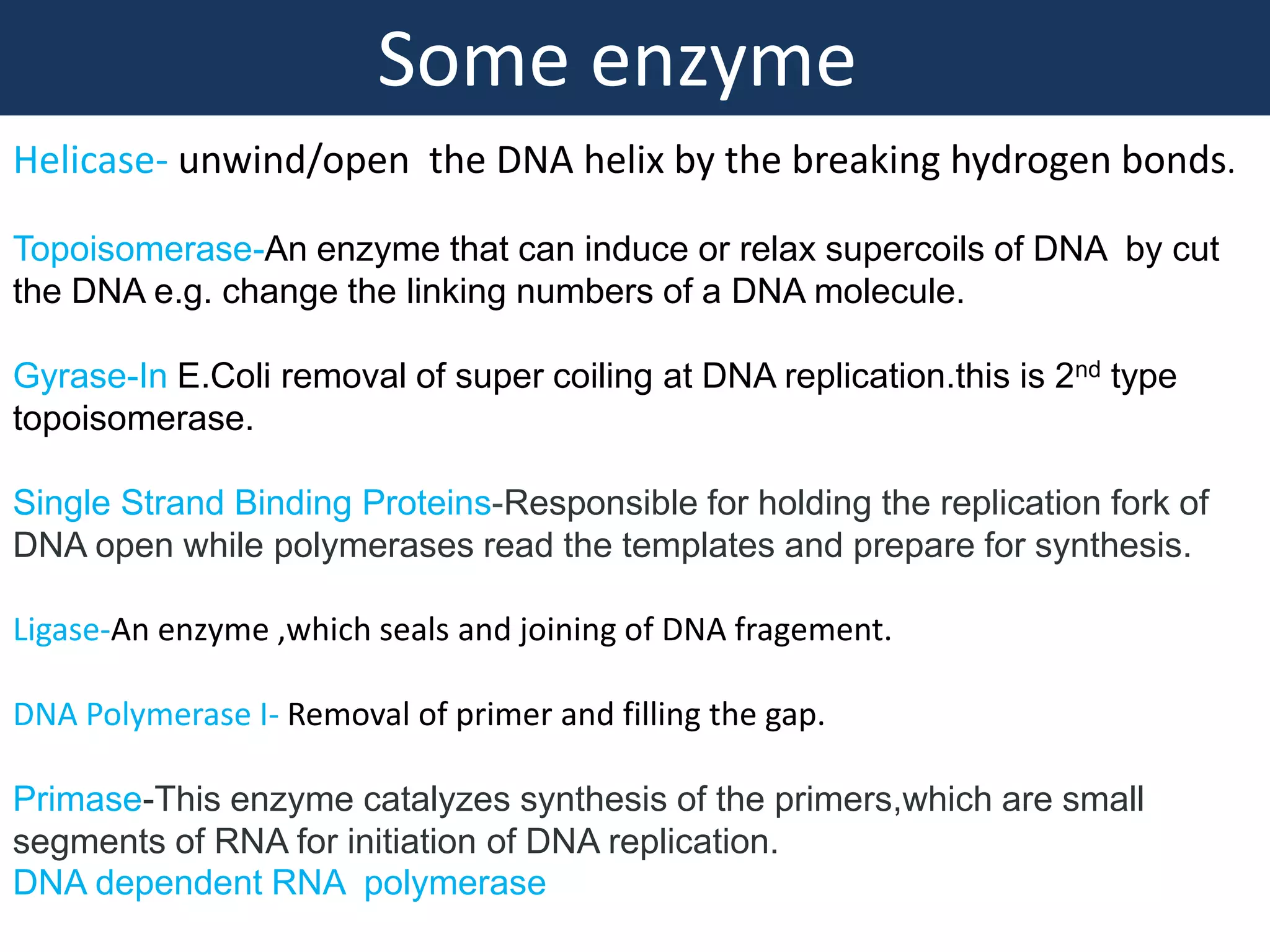 Genetics: DNA replication or Replication of Genetic Material | DNA ...