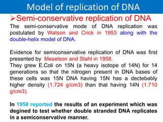 DNA replication | PPT