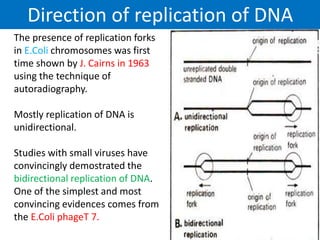 DNA replication | PPT