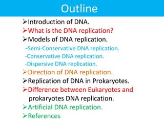 DNA replication | PPT
