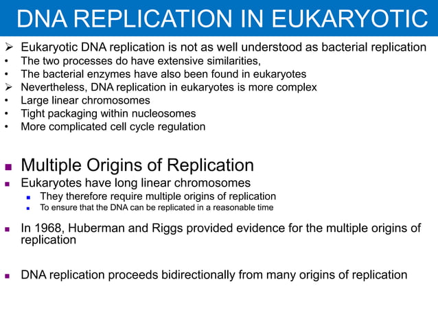 DNA replication | PPT | Free Download