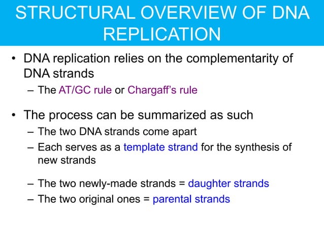 DNA replication | PPT | Free Download