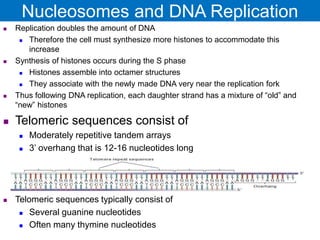 Genetics: DNA replication or Replication of Genetic Material | DNA ...