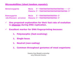 molecular genetics1.pdf