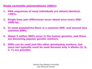 molecular genetics1.pdf