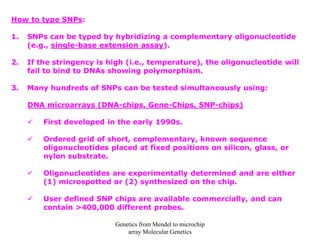 molecular genetics1.pdf