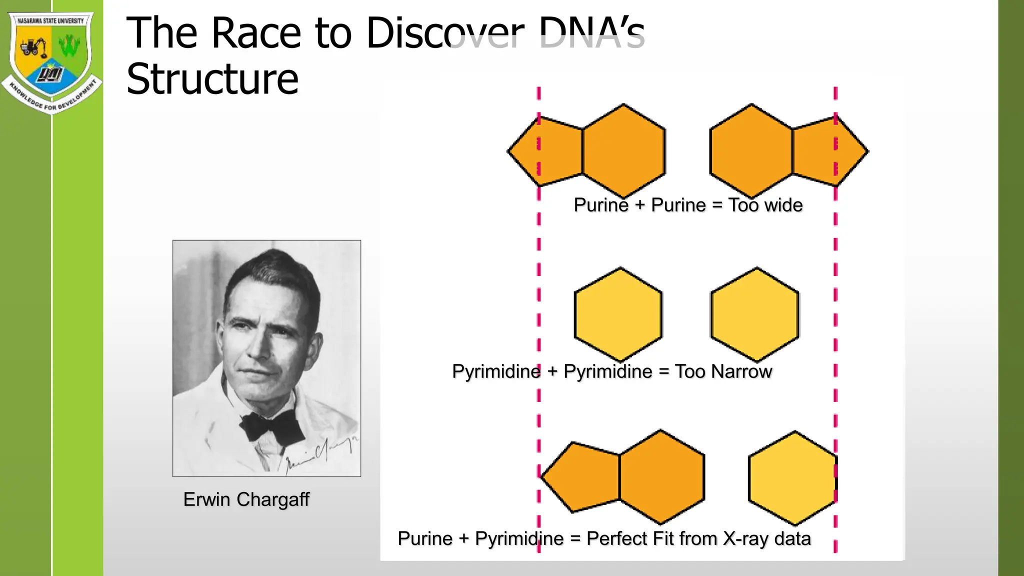 Biochemistry of genetics and molecular genetics | PPTX
