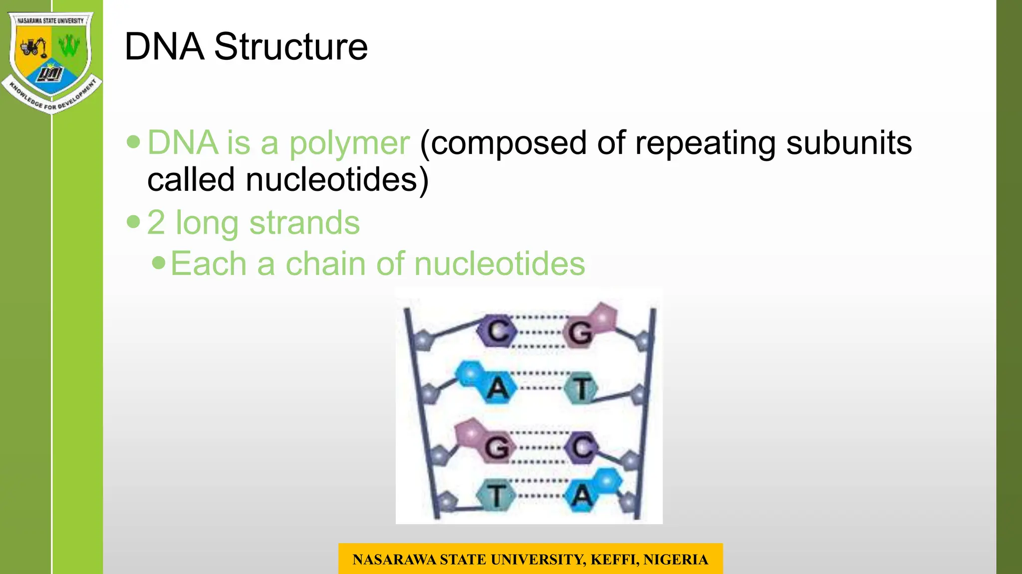 Biochemistry of genetics and molecular genetics | PPTX