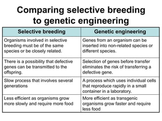 Molecular genetics 2 win q | PPT