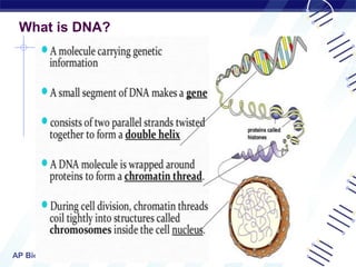 Molecular Genetics final.pptx