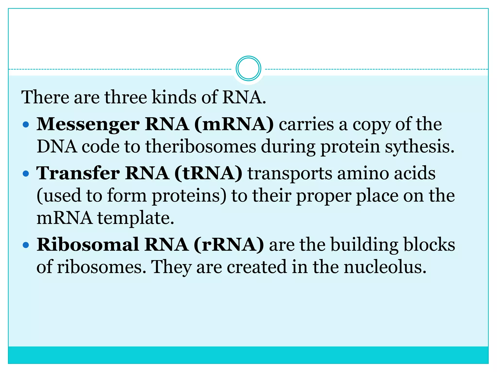 Molecular genetics ppt | PPTX