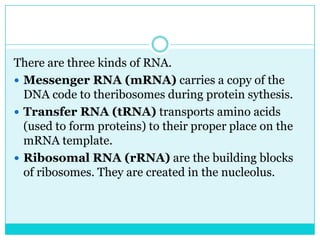 Molecular genetics ppt | PPTX
