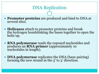 Molecular genetics ppt | PPTX
