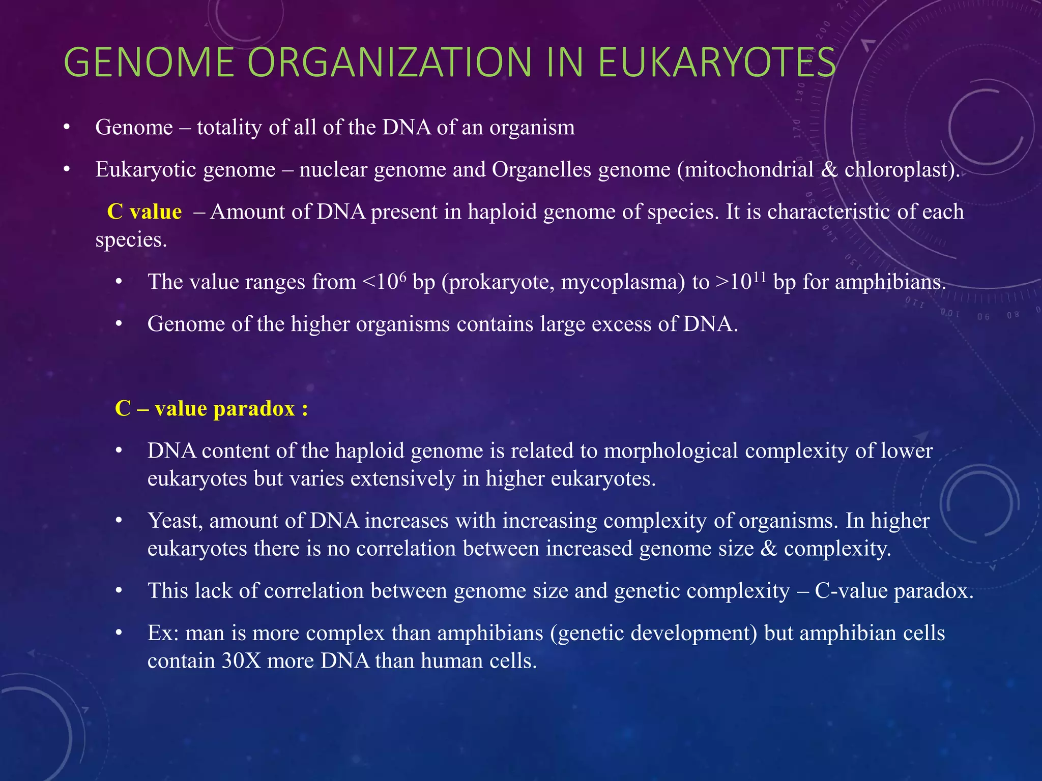 Molecular genetics | PPT