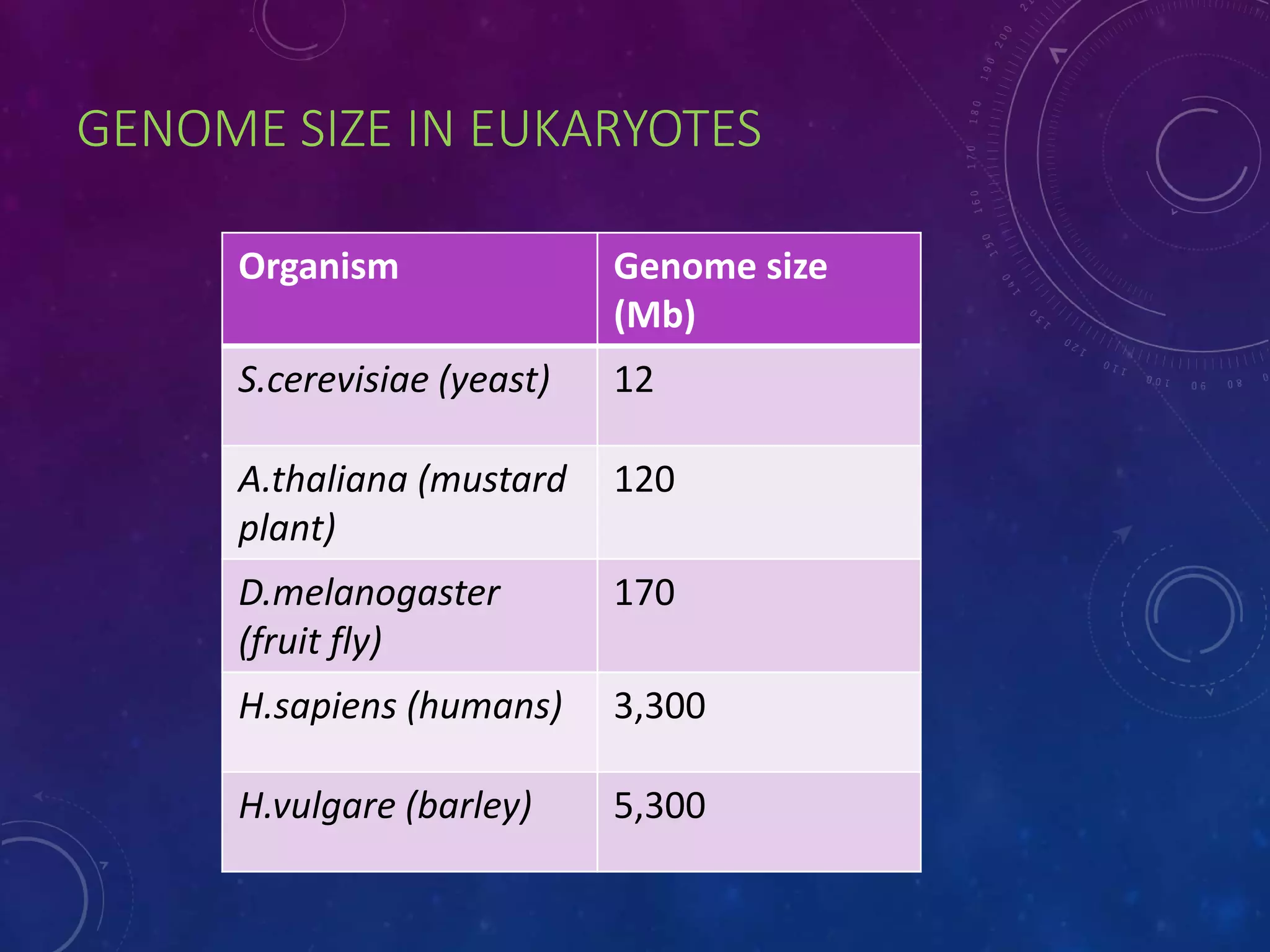 Molecular genetics | PPTX