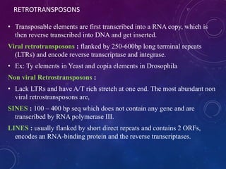 Molecular genetics | PPT