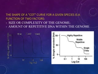 Molecular genetics | PPTX