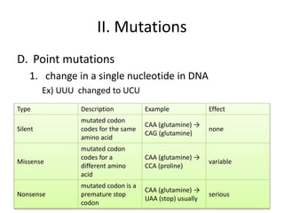 Molecular genetics unit 3 | PPTX