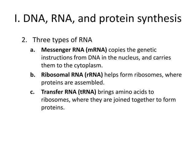 Molecular genetics unit 3 | PPTX