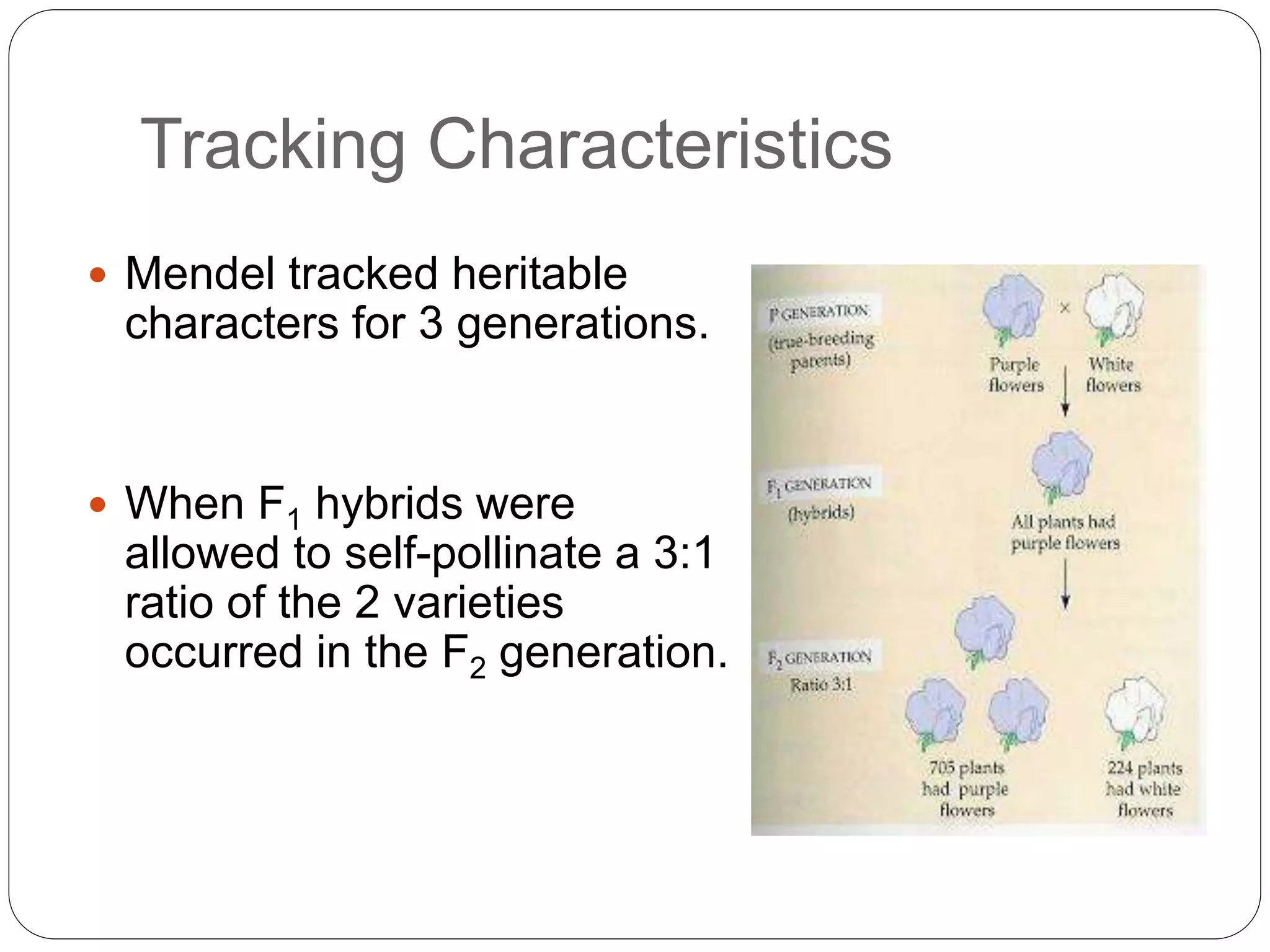 MolecularGeneticsUnit4-6.pptx