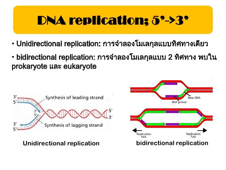 Molecular genetics