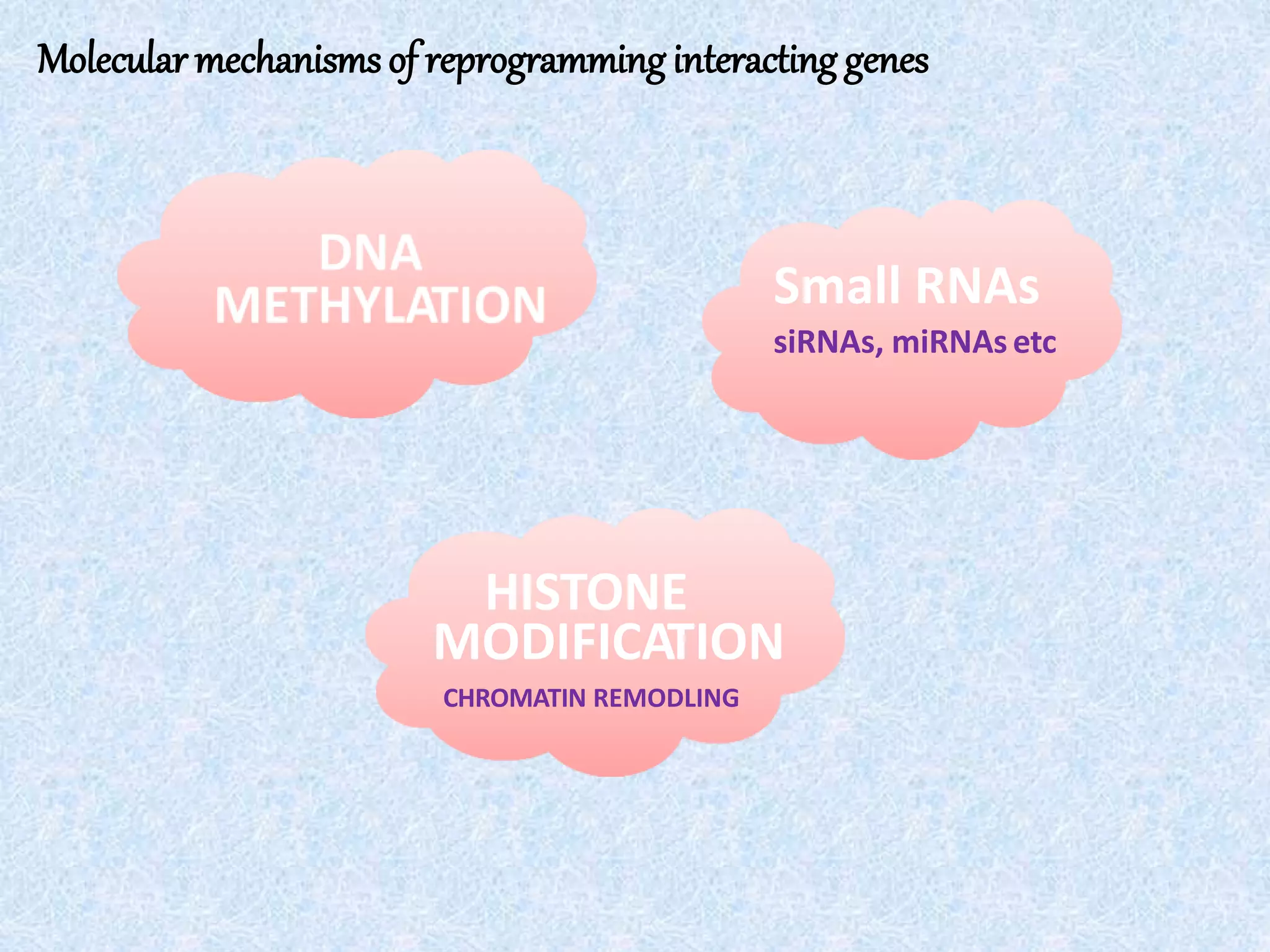 Molecular heterosis | PPT
