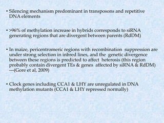 Molecular heterosis | PPTX