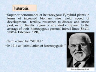 Molecular heterosis | PPTX