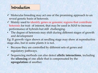 Molecular heterosis | PPTX
