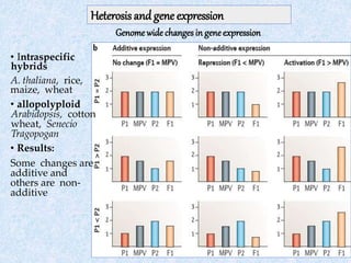 Molecular heterosis | PPTX