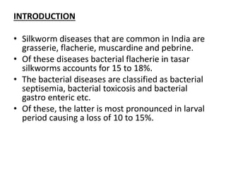 Molecular Identification.pptx
