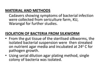 Molecular Identification.pptx | Free Download