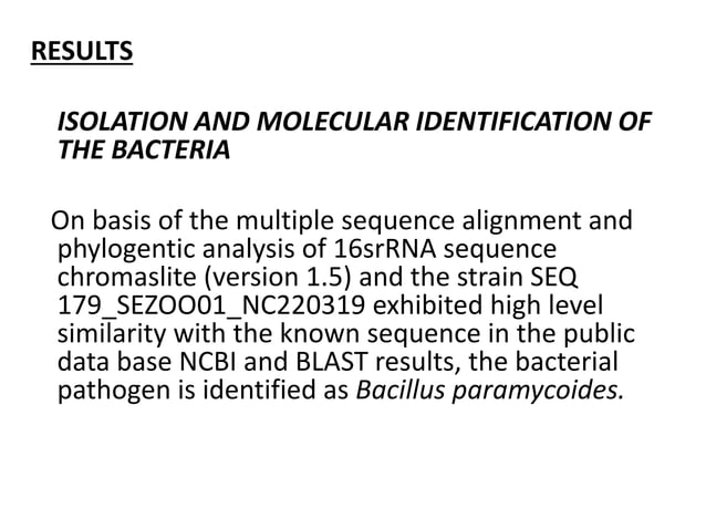 Molecular Identification.pptx | Free Download