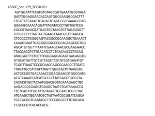 Molecular Identification.pptx